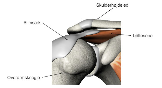 Skulderblokade - Skulder- og albuekirurgi |Skulderoperation ...